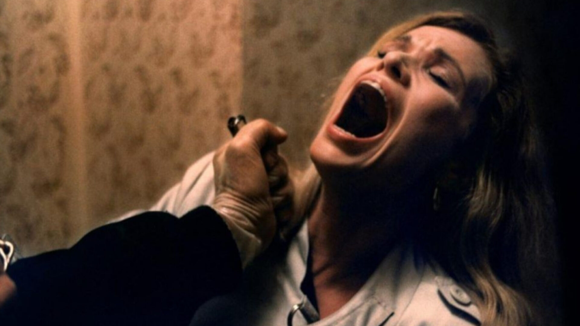 Programma - CINEMATEK